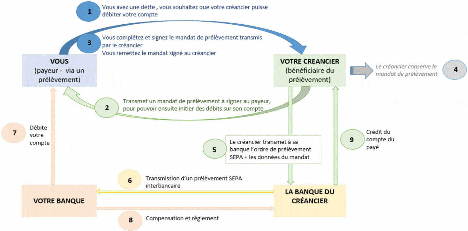 Arnaque au prélèvement SEPA : ce que votre banque ne vous dit pas